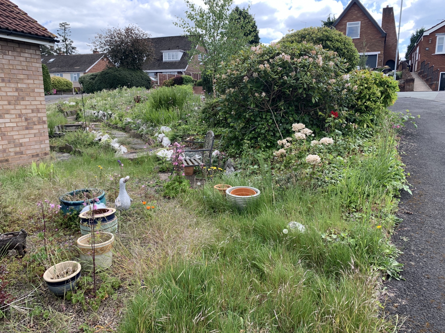 Before & After | Creative Landscapes